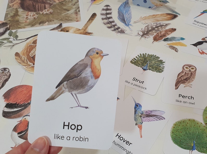 Bird Activity Pack, Bird Movement Cards, Bird Feather Pattern Matching ...