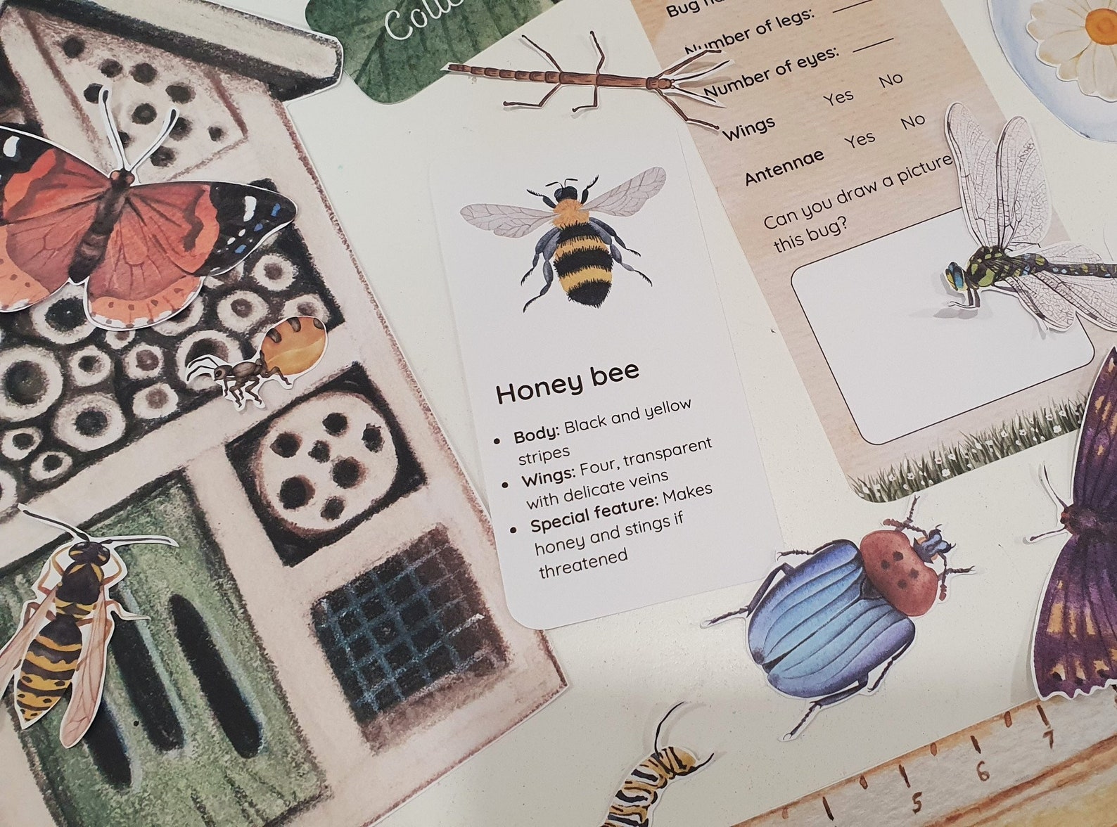 Bug Explorer Dramatic Playset, Entomology Lab Pretend Play, Insect ...