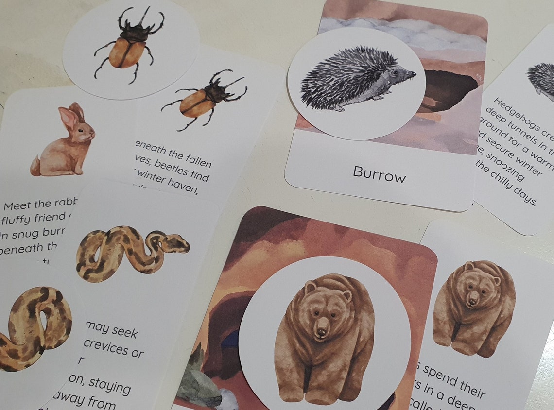 Winter Animal Homes Matching Game, Hibernation Mini Study, Sleeping ...