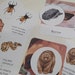 Winter Animal Homes Matching Game, Hibernation Mini Study, Sleeping ...