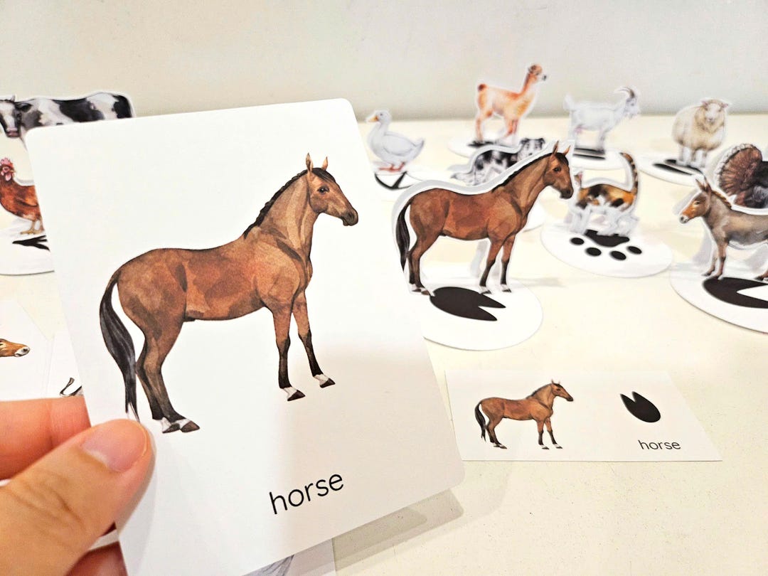 Farm Animal Track Matching Game, Animal Tracks Cards, Farm Animal ...