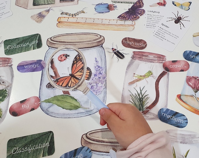 Complete Beetle Unit Study, Spring Learning Pack, Homeschool Bundle ...