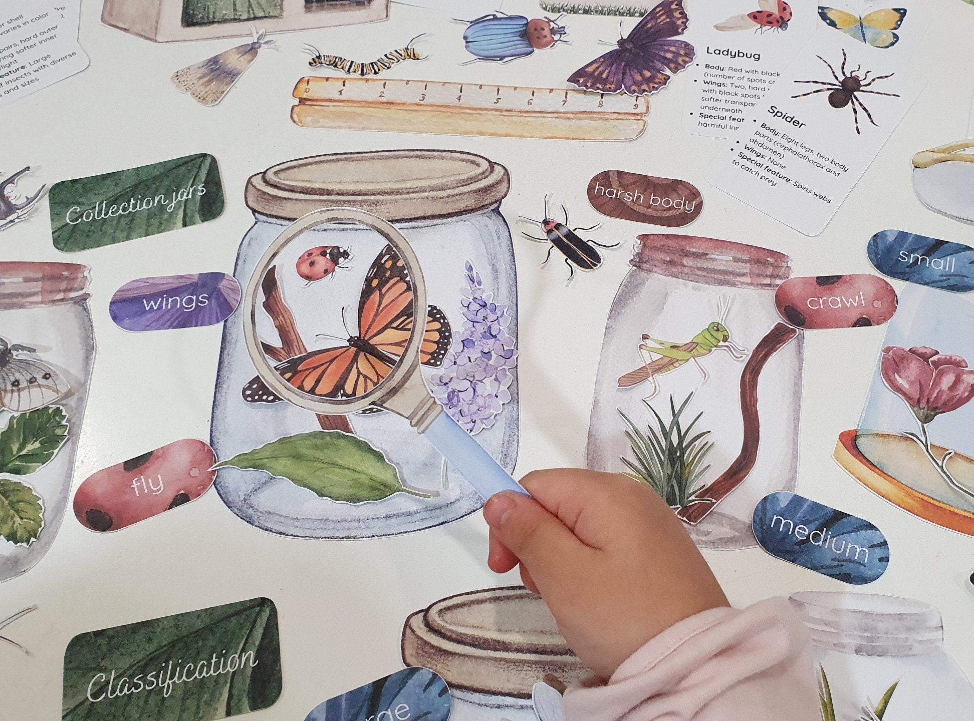 Bug Explorer Dramatic Play Set, Entomology Lab Pretend Play, Insect ...