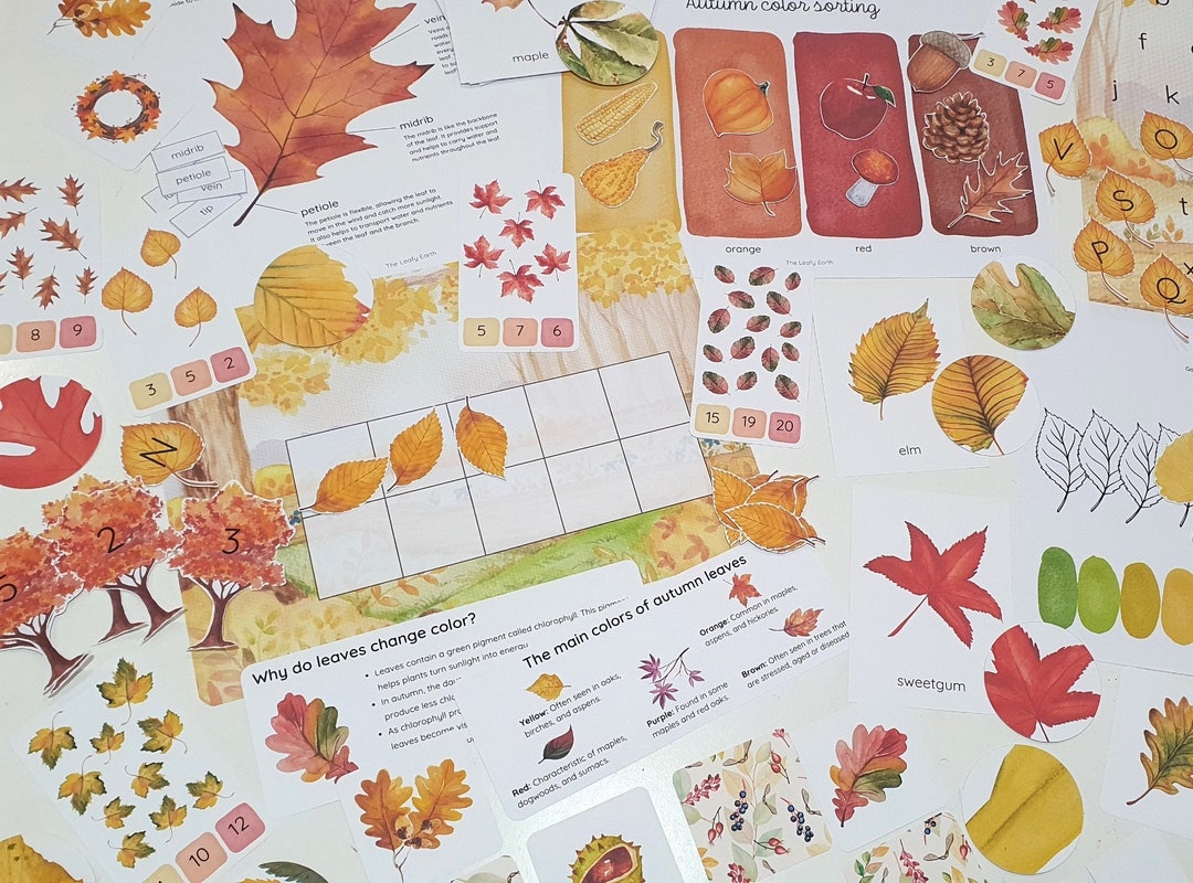 Autumn Leaf Activity Pack, Leaf Unit Study, Autumn Color Sorting, Leaf ...