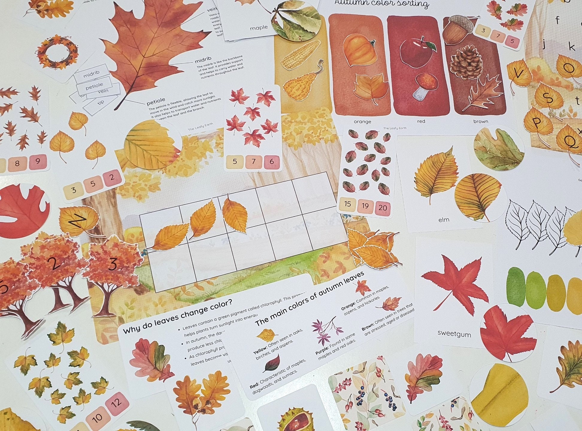 Autumn Leaf Activity Pack, Leaf Unit Study, Autumn Color Sorting, Leaf ...