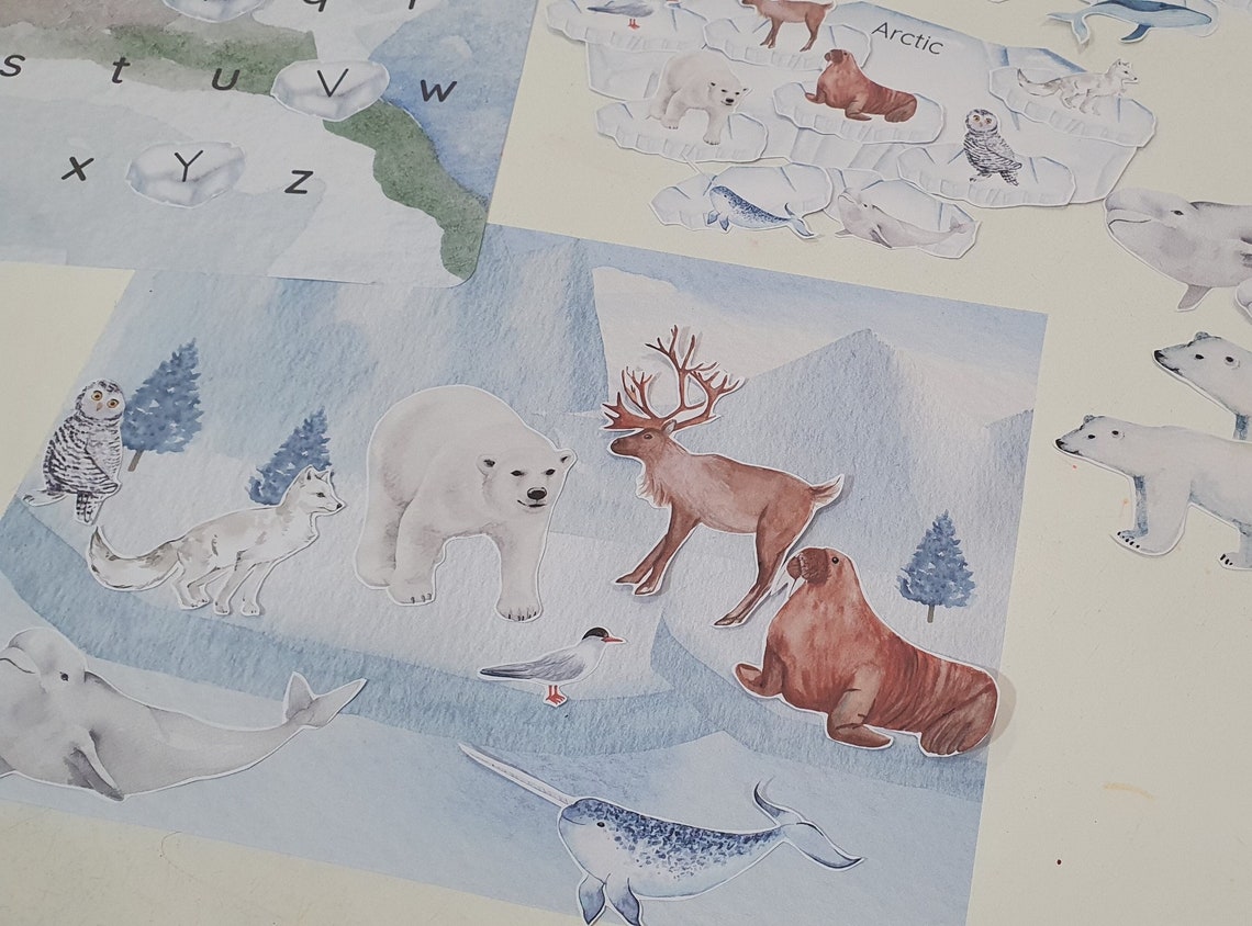 Polar Animals Activity Pack, Arctic and Antarctica Unit, Penguin Board ...