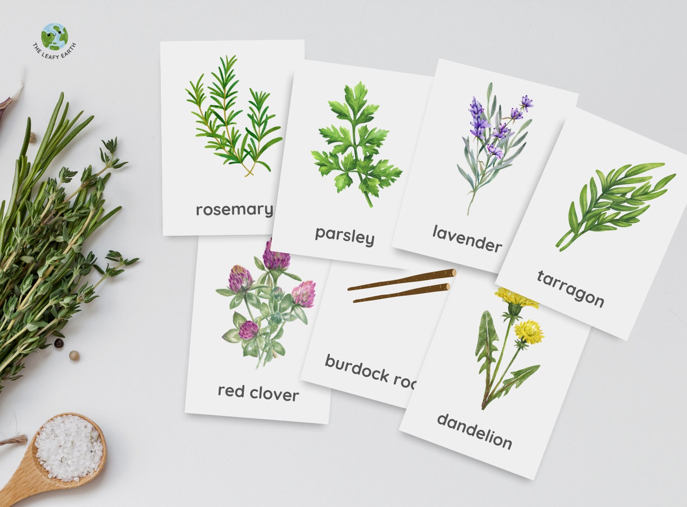 40 Herb Flashcards, Montessori Flashcards, Printable Floral Flashcards ...