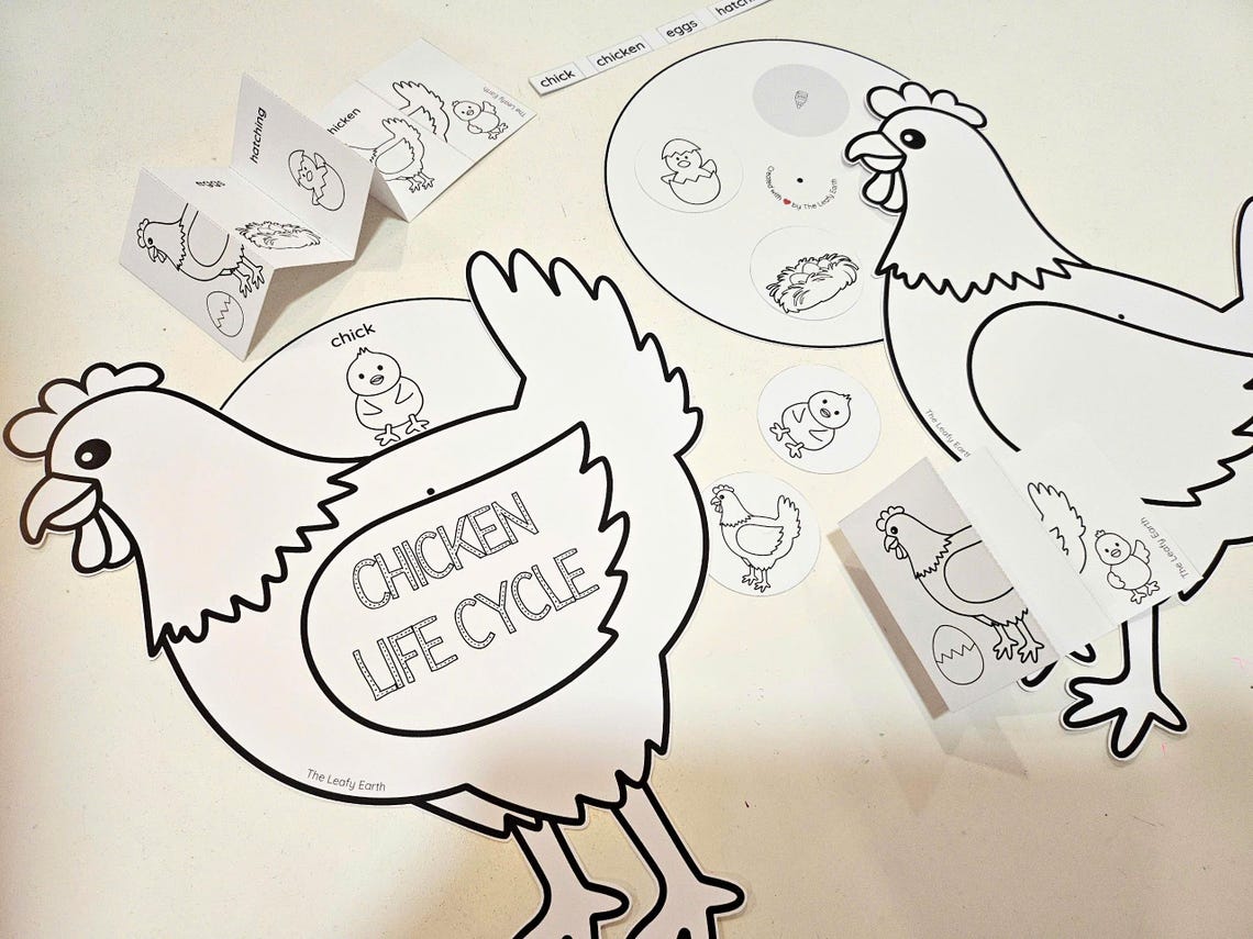 Chicken Life Cycle Coloring Activity, Wheel and Foldable, DIY Kids ...