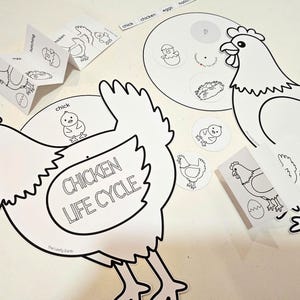 Chicken Life Cycle Coloring Activity, Wheel and Foldable, DIY Kids ...