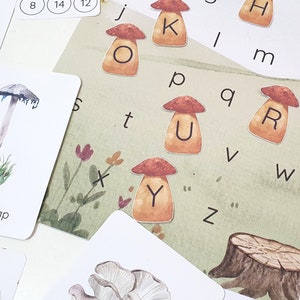 Mushroom Activity Pack, Mushroom Flashcards, Montessori Autumn ...