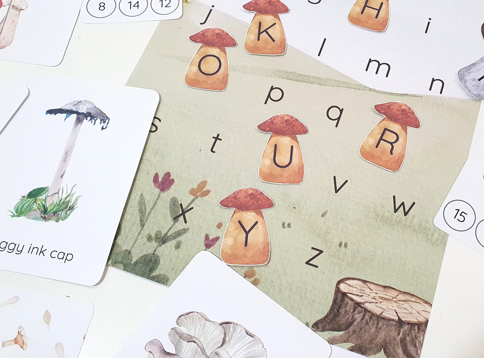Mushroom Activity Pack, Mushroom Flashcards, Montessori Autumn ...