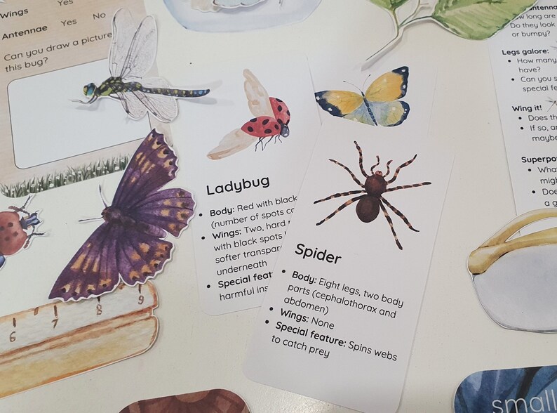 Bug Explorer Dramatic Play Set, Entomology Lab Pretend Play, Insect ...