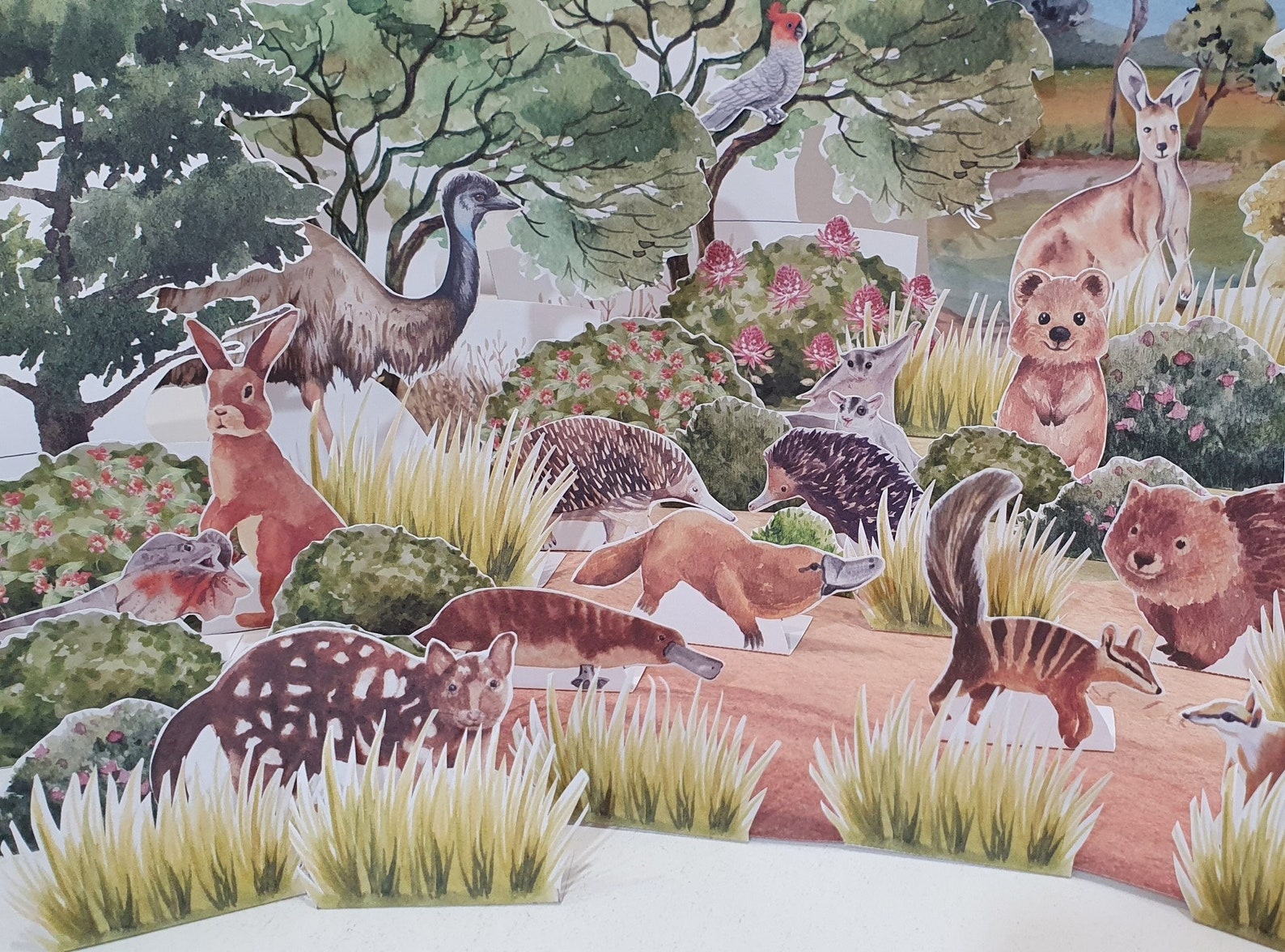 Build the Australian Habitat, Printable Bushland Diorama, Kangaroo and ...