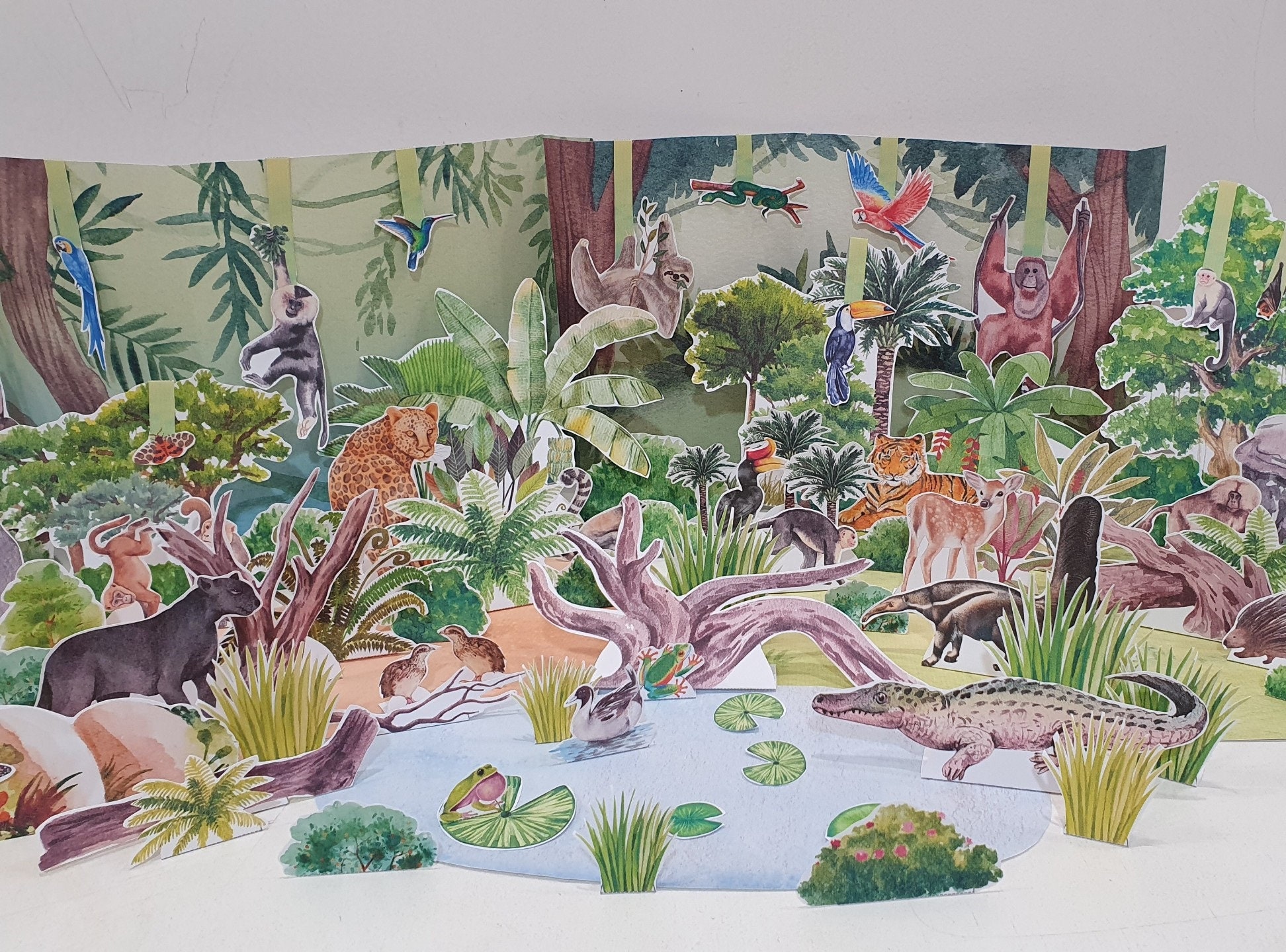 Capas De Diorama De Selva Tropical