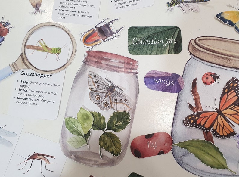 Bug Explorer Dramatic Playset, Entomology Lab Pretend Play, Insect ...