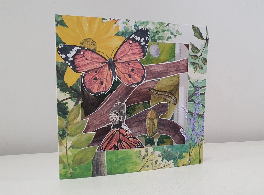 Butterfly Life Cycle Pop up Printable, Greeting Card, DIY Paper Crafts ...