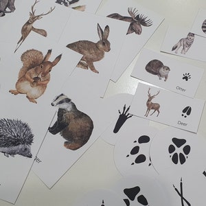 Woodland Animal Track Matching Game, Animal Tracks Cards, Forest Animal ...