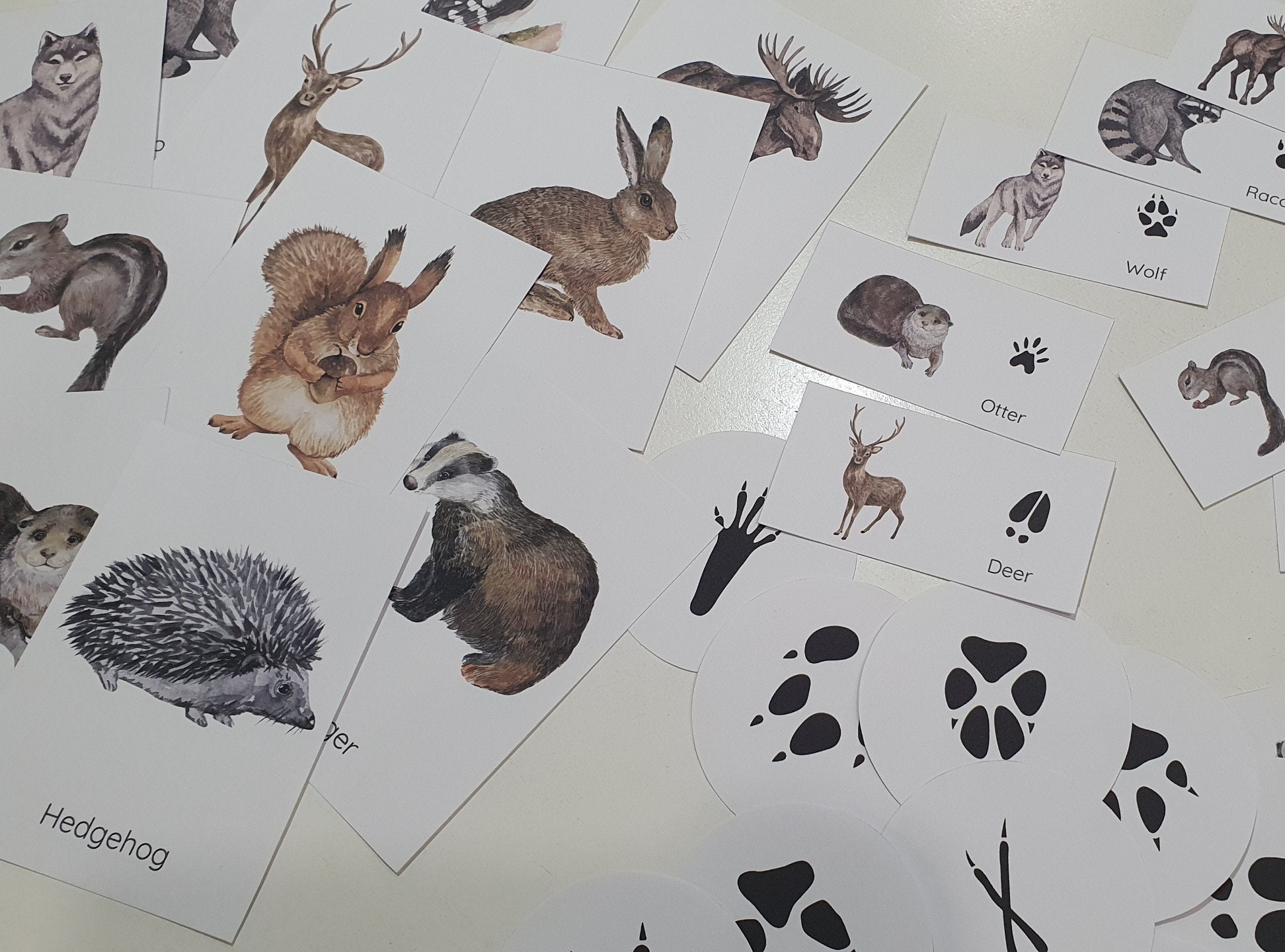 Woodland Animal Track Matching Game, Animal Tracks Cards, Forest Animal ...