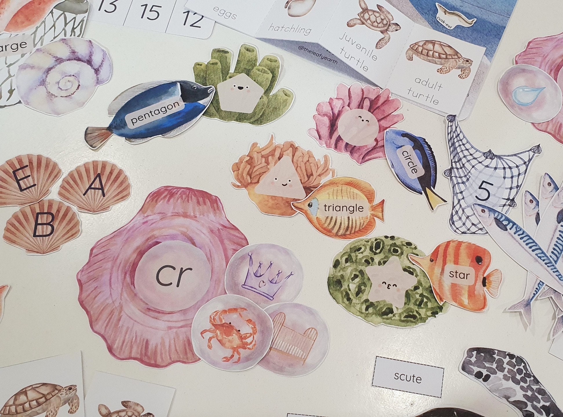 Marine Life Activity Pack, Sea Animal Unit Study, Turtle Life Cycle ...