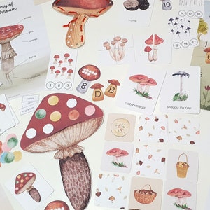 Mushroom Activity Pack, Mushroom Flashcards, Montessori Autumn ...