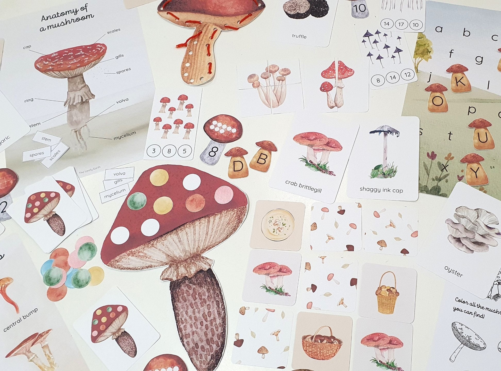 Mushroom Activity Pack, Mushroom Flashcards, Montessori Autumn ...