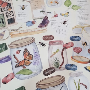 Bug Explorer Dramatic Playset, Entomology Lab Pretend Play, Insect ...