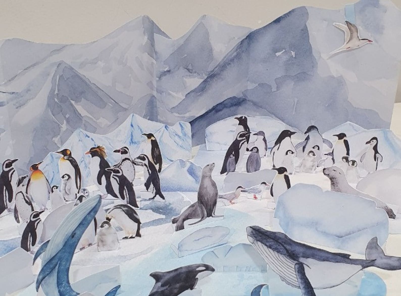 Build the Antarctic Habitat, Printable Diorama, DIY Kids Paper Craft ...