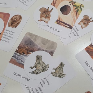 Winter Animal Homes Matching Game, Hibernation Mini Study, Sleeping ...