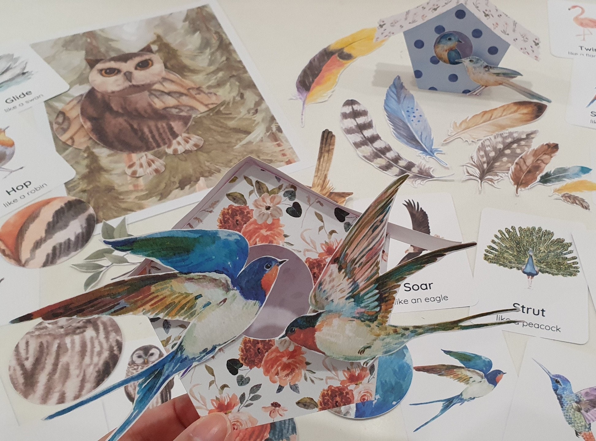 Bird Activity Pack, Bird Movement Cards, Bird Feather Pattern Matching ...