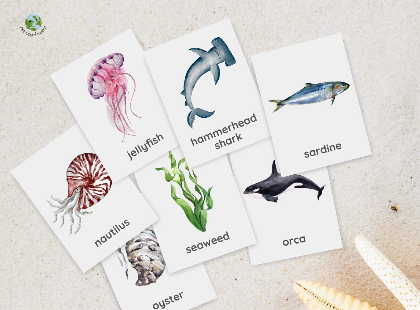 32 Ocean Flashcards, Montessori Flashcards, Ocean Animal Flashcards ...