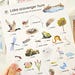 Lake Scavenger Hunt, Printable Nature Scavenger Hunt, Camping ...