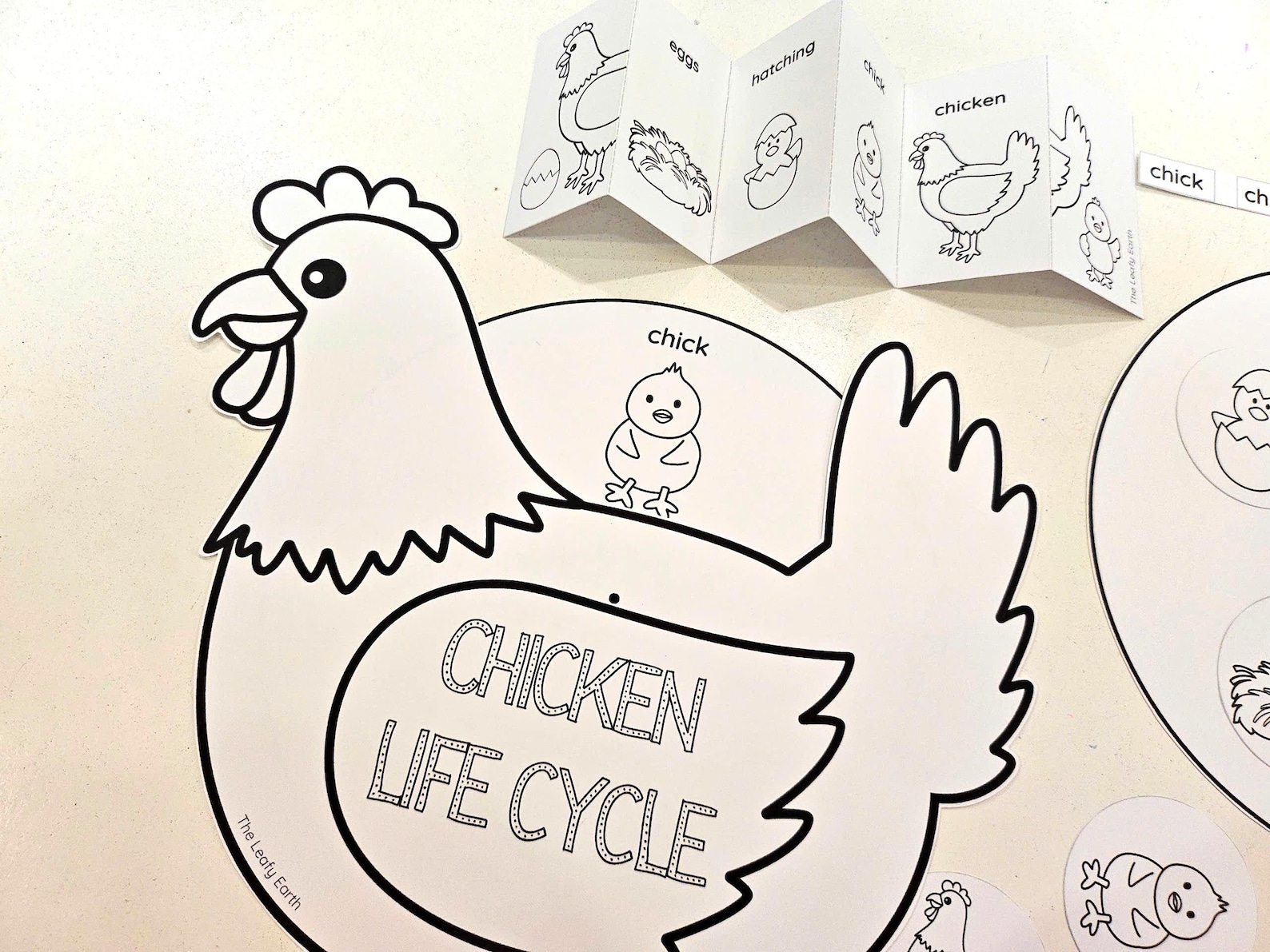 Chicken Life Cycle Coloring Activity, Wheel and Foldable, DIY Kids ...