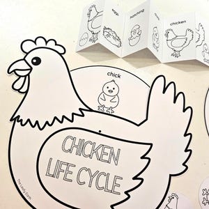 Chicken Life Cycle Coloring Activity, Wheel and Foldable, DIY Kids ...