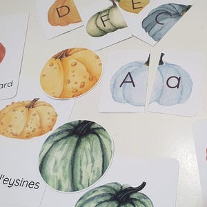 Pumpkin Activity Pack, Pumpkin Unit Study, Anatomy of a Pumpkin ...