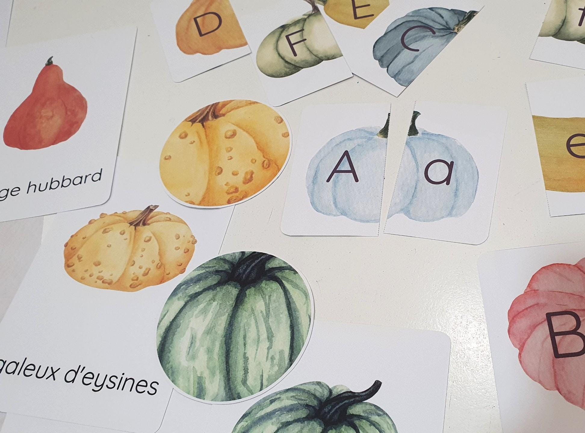 Pumpkin Activity Pack, Pumpkin Unit Study, Anatomy of a Pumpkin ...