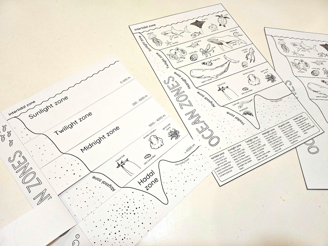 Ocean Zones Poster and Flipbook, 5 Ocean Layers, Habitat Craft, Kids ...