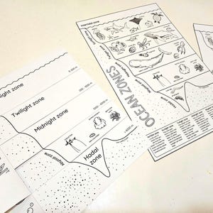 Ocean Zones Poster and Flipbook, 5 Ocean Layers, Habitat Craft, Kids ...