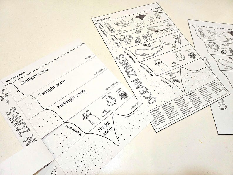Ocean Zones Poster and Flipbook, 5 Ocean Layers, Habitat Craft, Kids ...