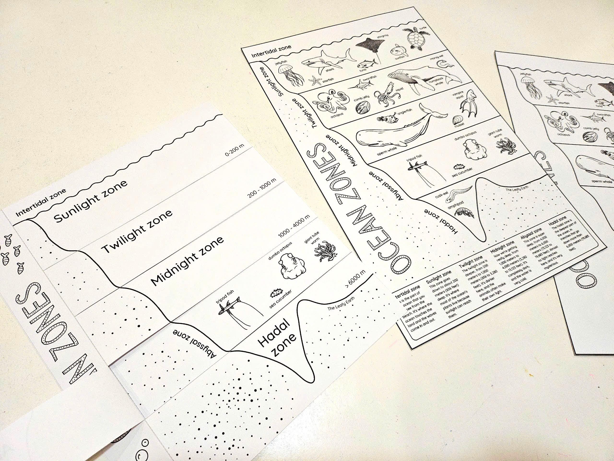 Ocean Zones Poster and Flipbook, 5 Ocean Layers, Habitat Craft, Kids ...