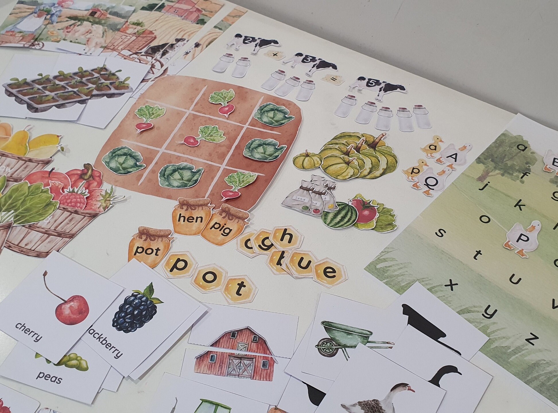 Farm Activity Pack, 48 Fruit and Vegetable Flashcards, Building CVC ...