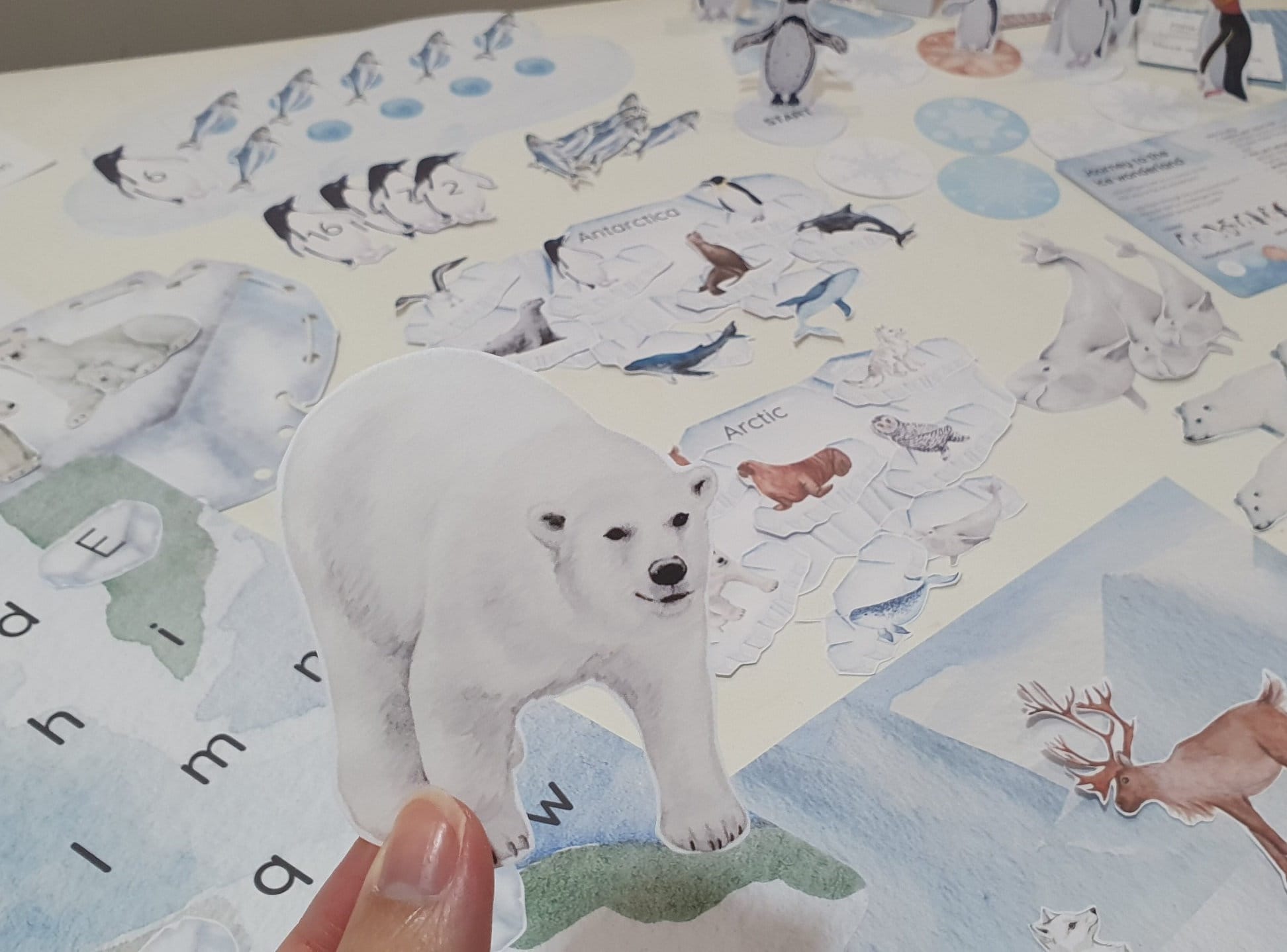 Polar Animals Activity Pack, Arctic and Antarctica Unit, Penguin Board ...