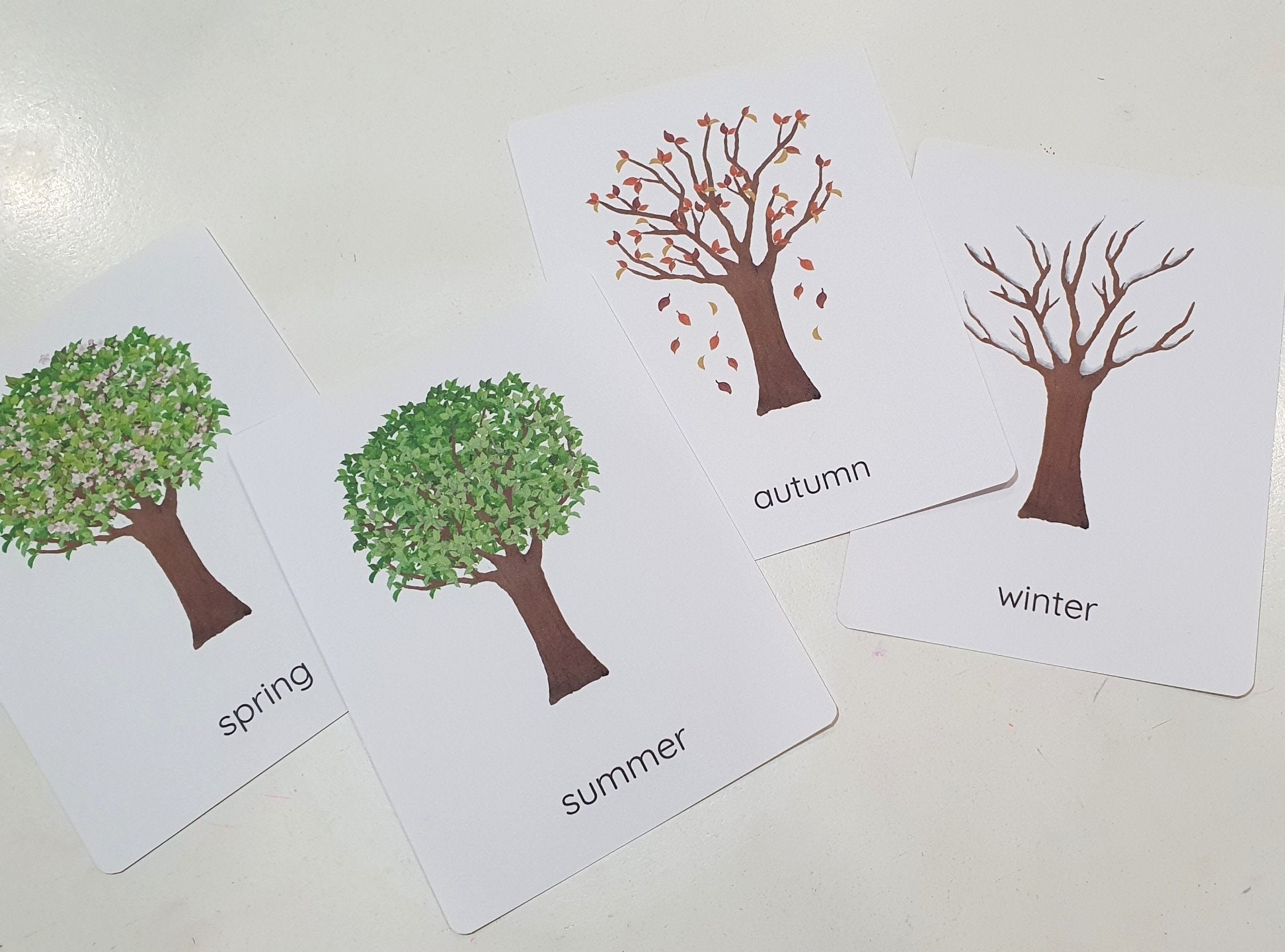 Seasons Wheel, Months of the Year, Seasons Flashcards, Montessori ...