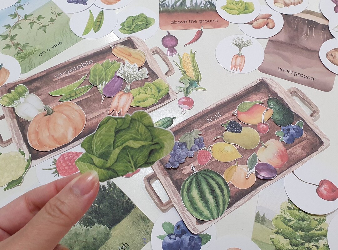 Fruit and Vegetable Sorting Games, Farm Harvest Sorting Games ...