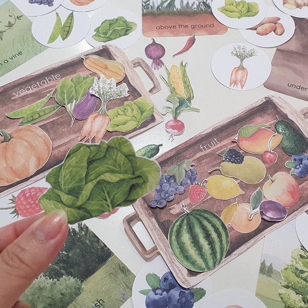 Fruit and Vegetable - Etsy