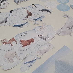 Polar Animals Activity Pack, Arctic and Antarctica Unit, Penguin Board ...