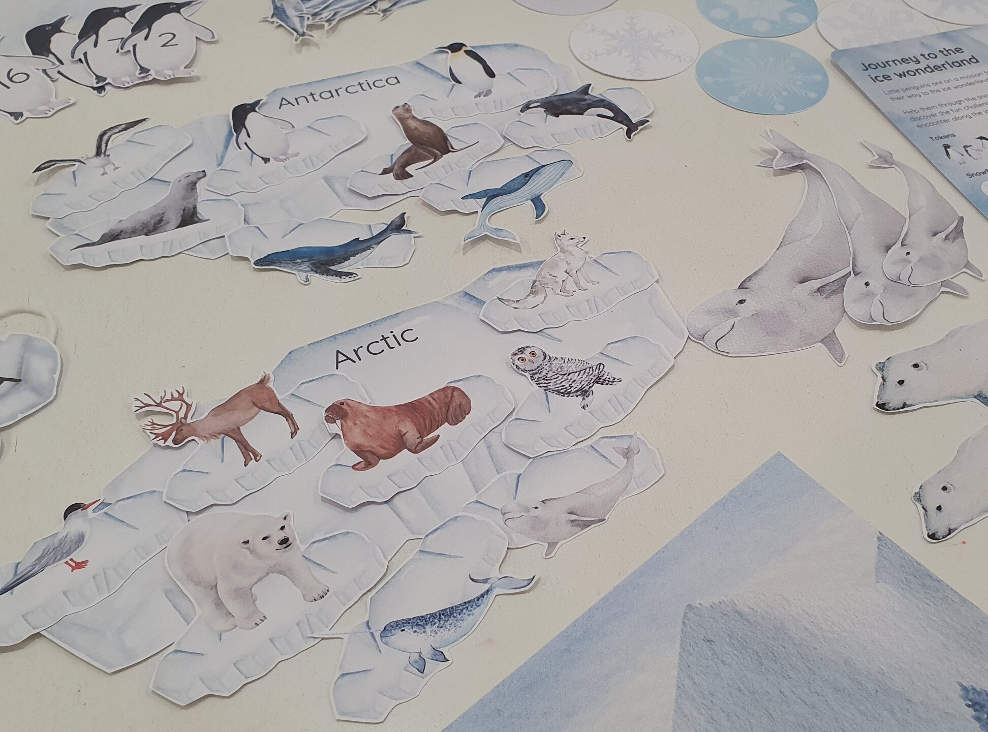 Polar Animals Activity Pack, Arctic and Antarctica Unit, Penguin Board ...
