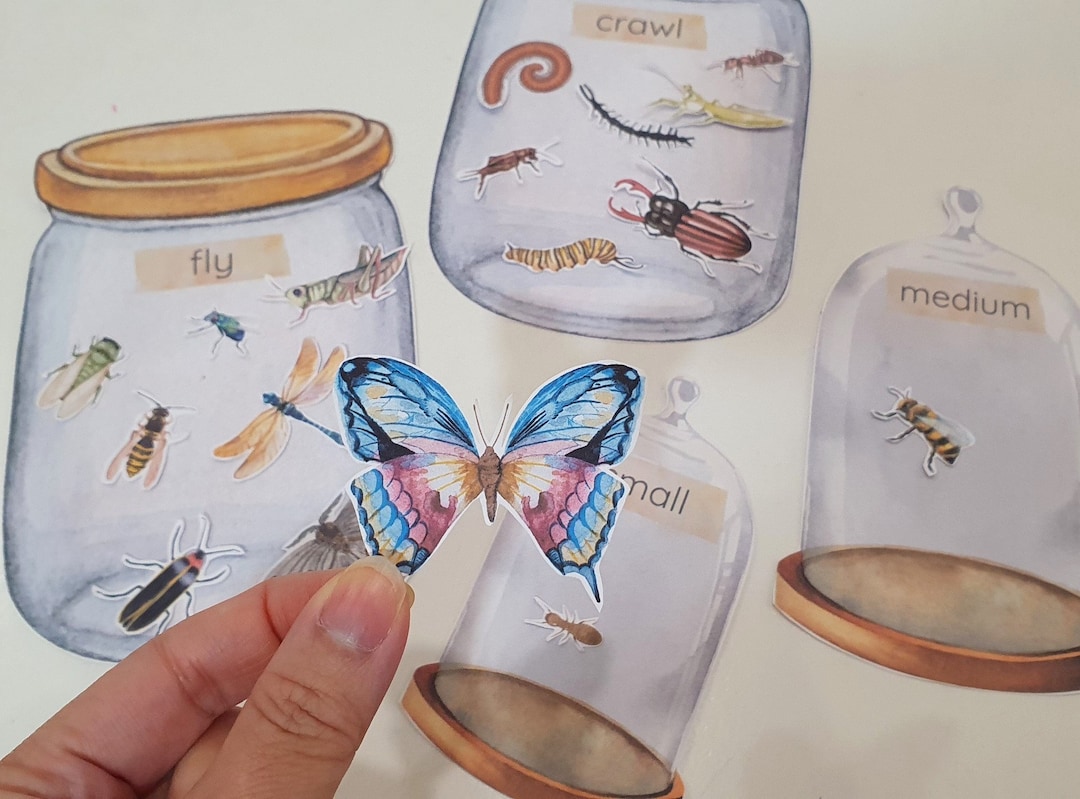 Insect Jar Sorting Games, Insect Size Match, Flying or Crawling Bug ...