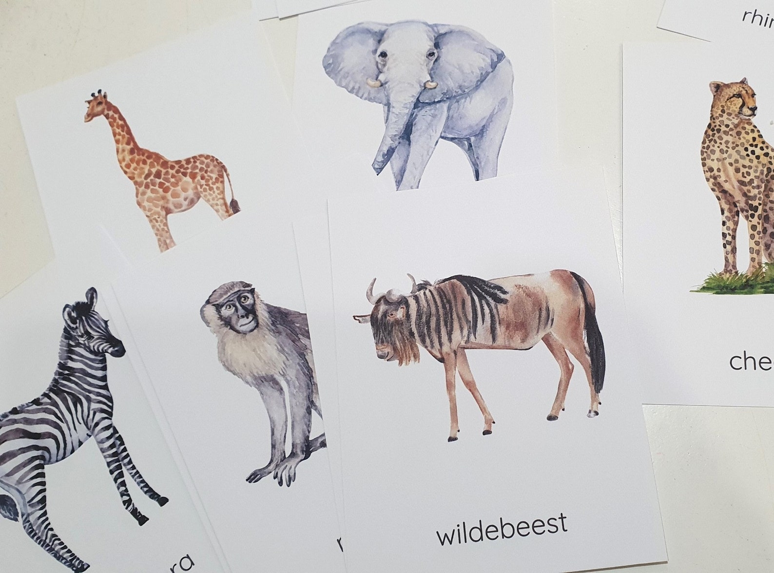 Safari Animal Find and Match Game, Animal Pattern Cards, Savanna Animal ...