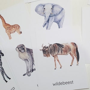 Safari Animal Find and Match Game, Animal Pattern Cards, Savanna Animal ...
