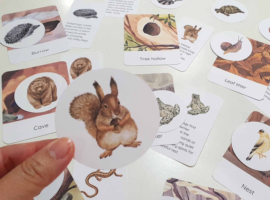 Winter Animal Homes Matching Game, Hibernation Mini Study, Sleeping ...